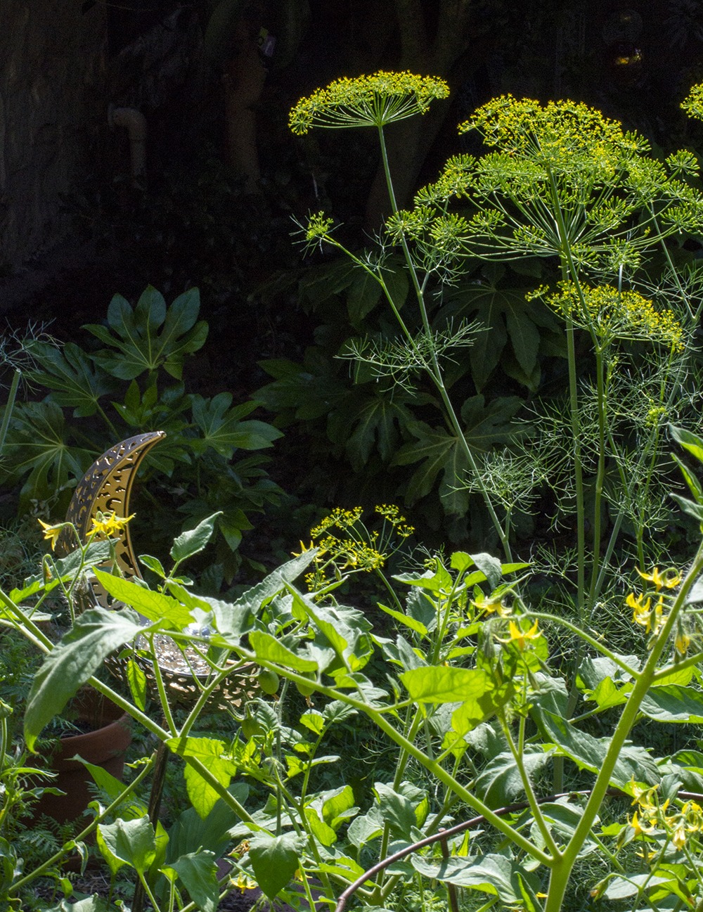 How Does Your Garden Grow?